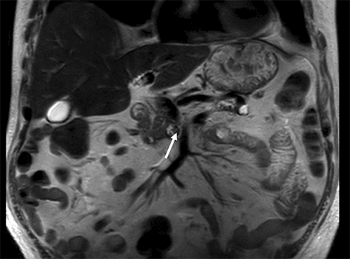 A Surgeon, a Dermatologist, and a Rheumatologist Walk into a Bar ...