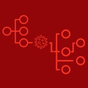 Lessons learned about the ACS Quality Verification Program and pilot ...