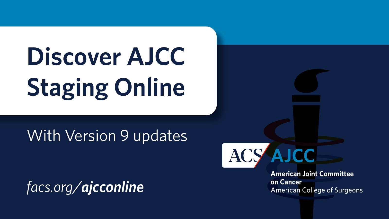 Oncologists, Registrars, and Cancer Care Teams Can Benefit from AJCC ...