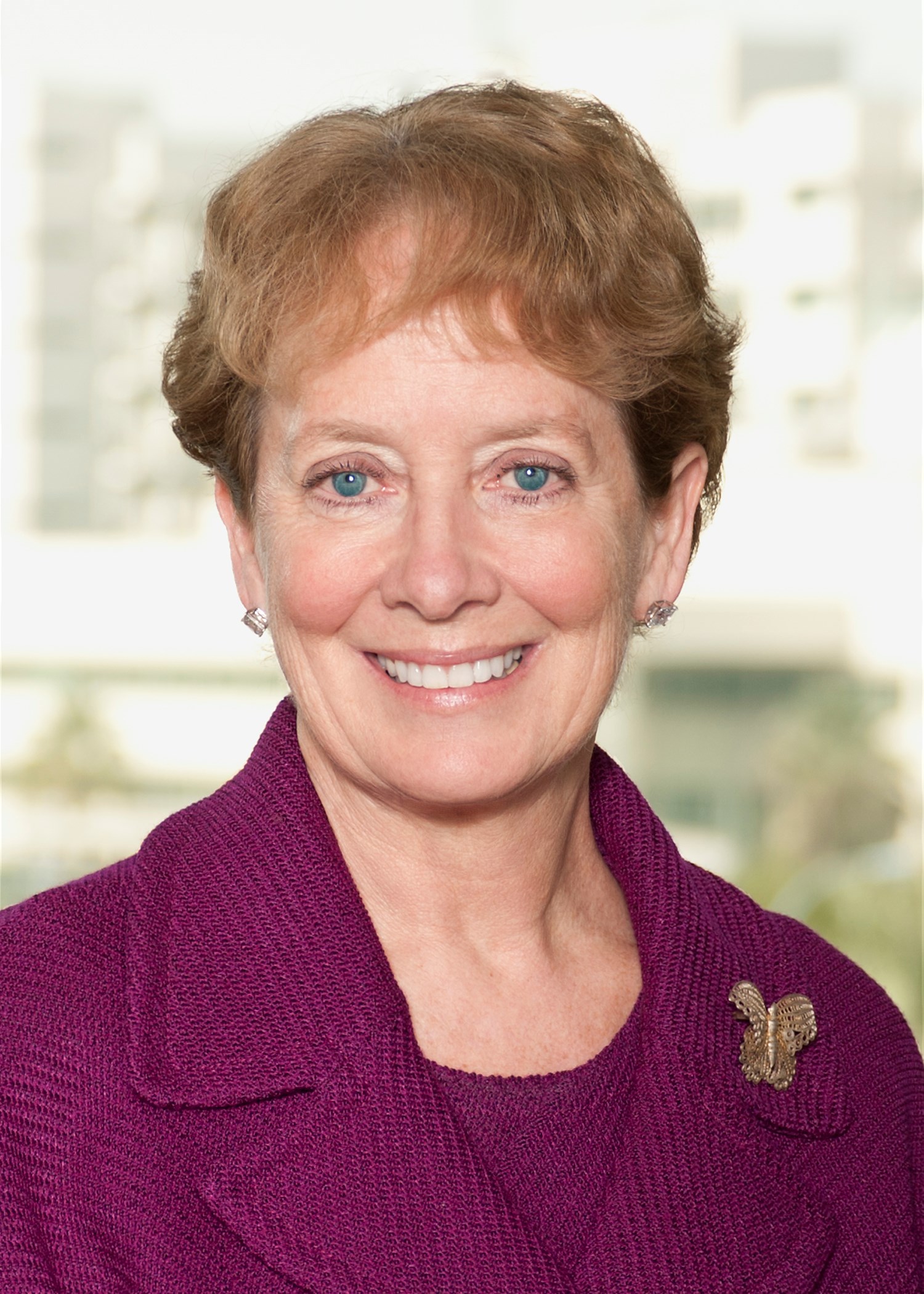 About Julie A. Freischlag | ACS