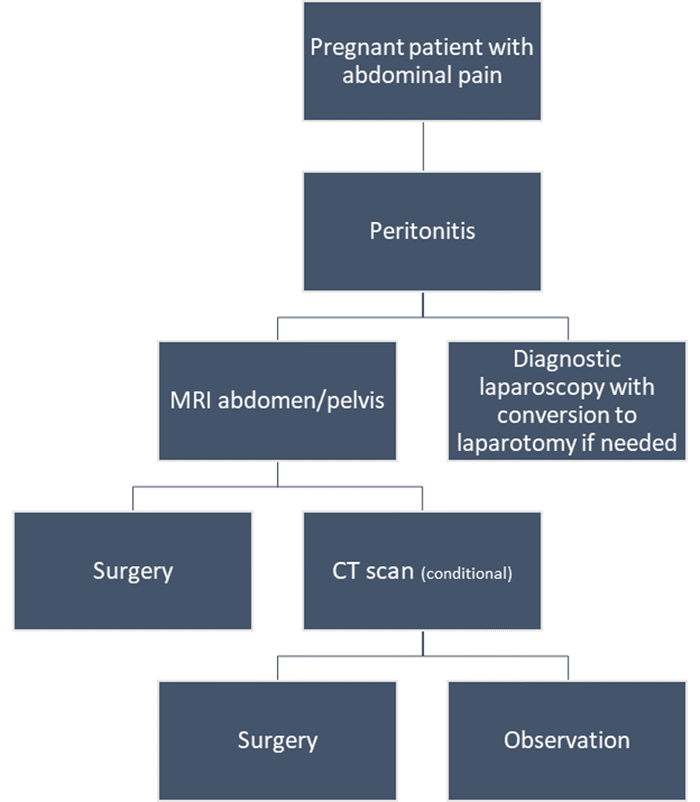 Stercoral Ulcer Perforation in a Young Woman at 29 Weeks Gestation ...