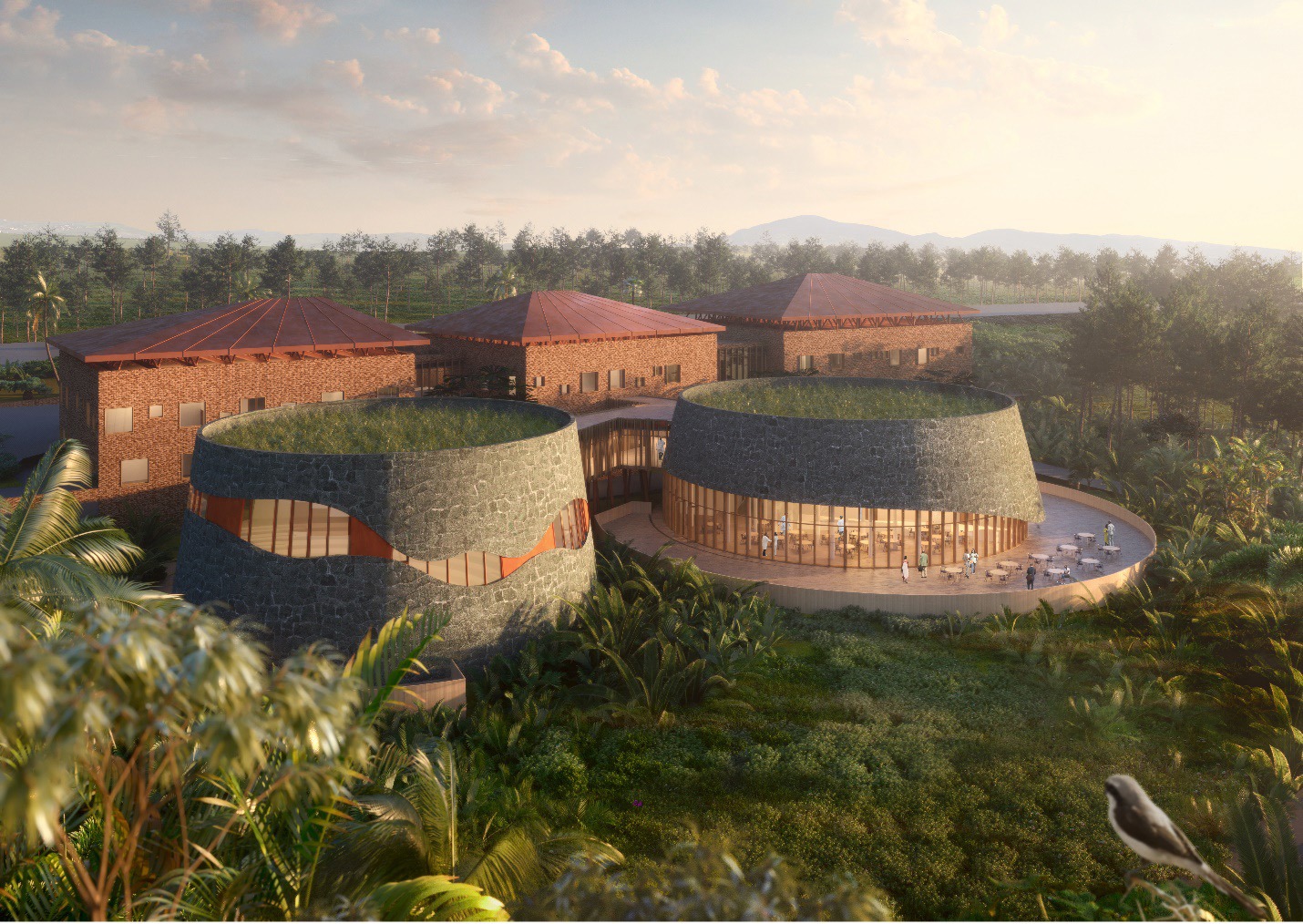 International Activities and Awards | ACS