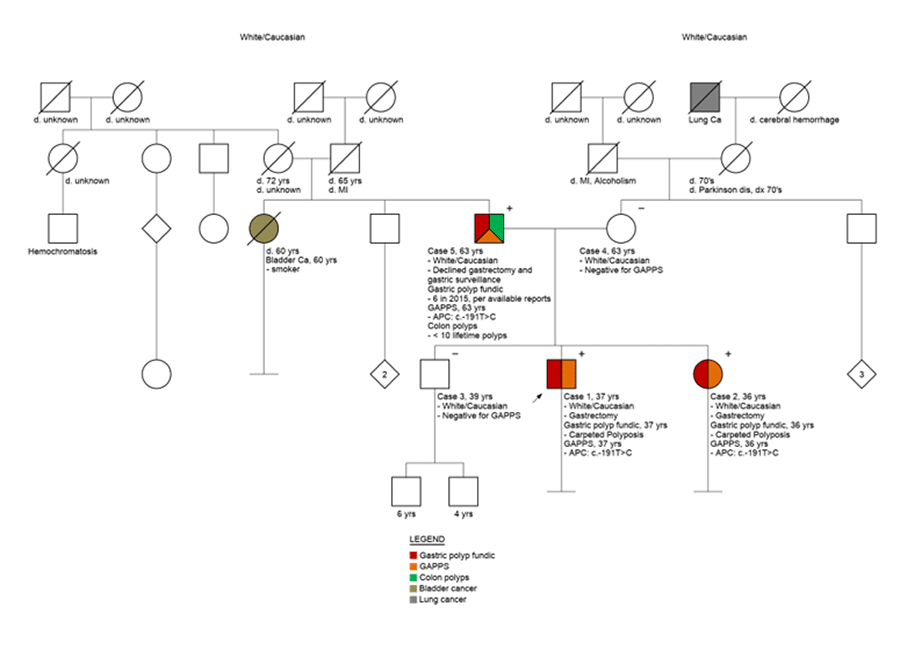 Early Prophylactic Gastrectomy for the Management of Gastric ...