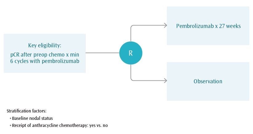 ACS Cancer Research Program | ACS