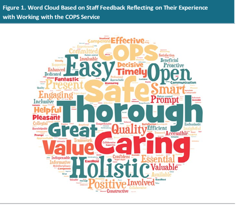 The Care of Older People in Surgery (COPS) Service | ACS