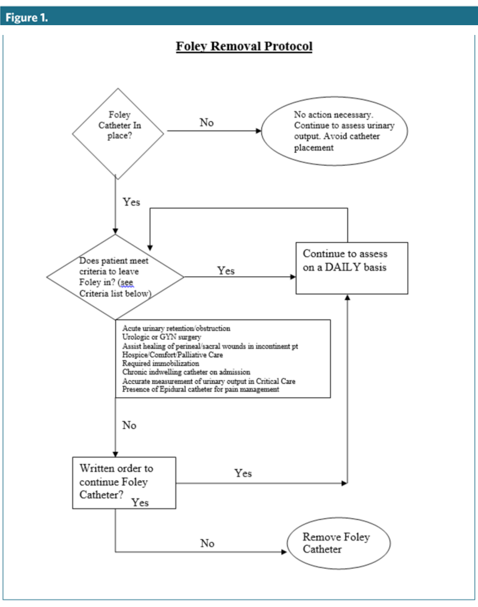 How TQIP Benchmarking Assisted in and Highlighted a Decrease in CAUTls ...